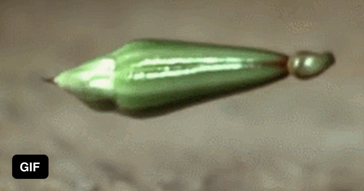 Seed pod exploding - 9GAG