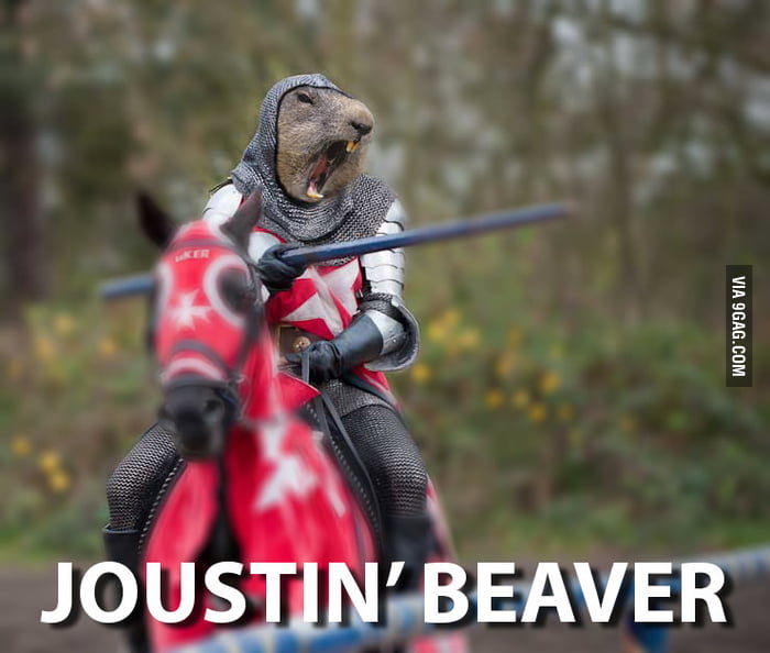 Joustin' Beaver - 9GAG