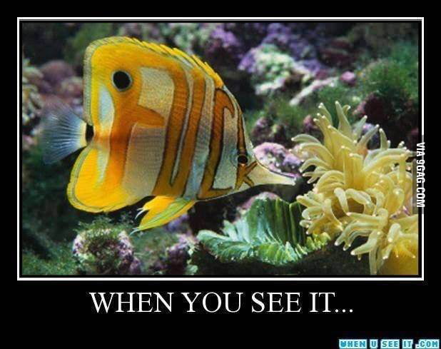 Awkward fish - 9GAG
