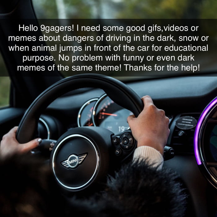 I own a driving school and need them for my presentations. - 9GAG