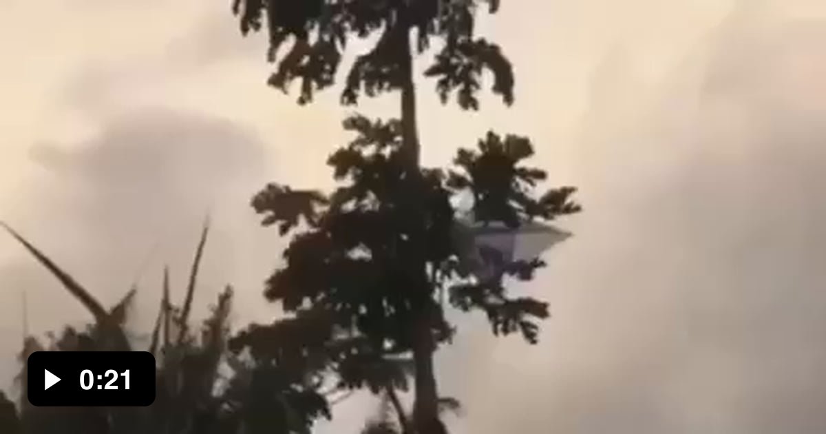 Its going down, im yelling timber !! - 9GAG