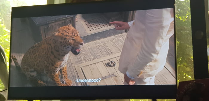 Proxima!!! My wishing cat if ever!... Jungle Cruise! - 9GAG