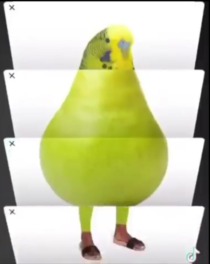 Bird Pear lord - 9GAG
