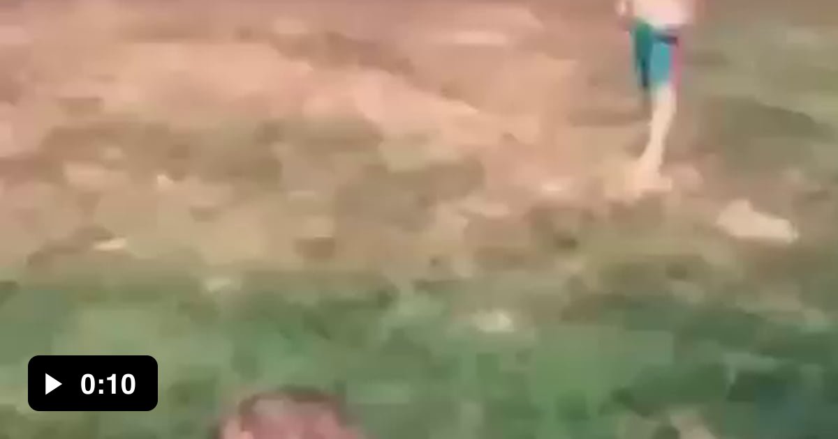 Random Videos on Internet 2 - 9GAG