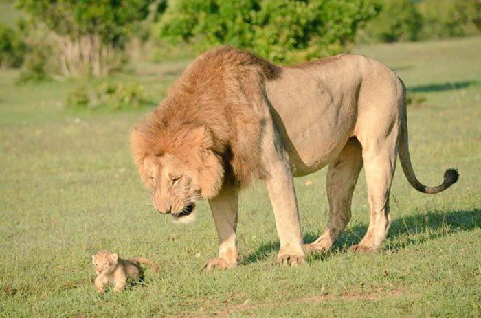 "How are you so small?" - 9GAG