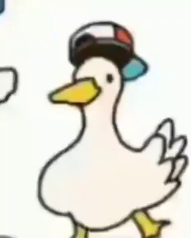 Have a dancing duck in a hat - 9GAG