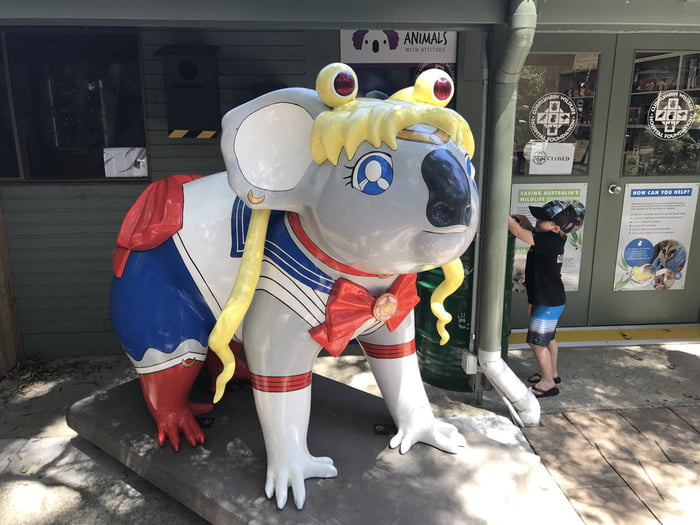 You may heard of the Mario koala. Now get ready for the sailor moon ...