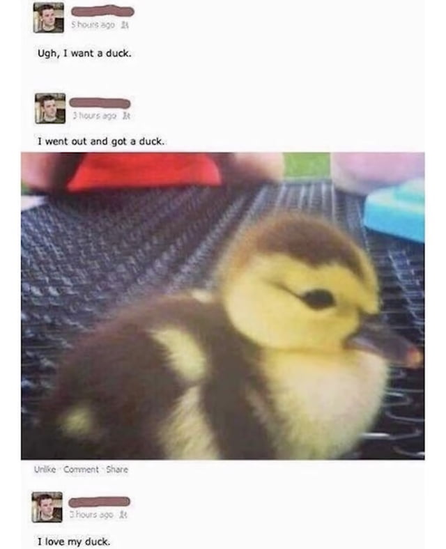 He loves his ducky boi :) - 9GAG