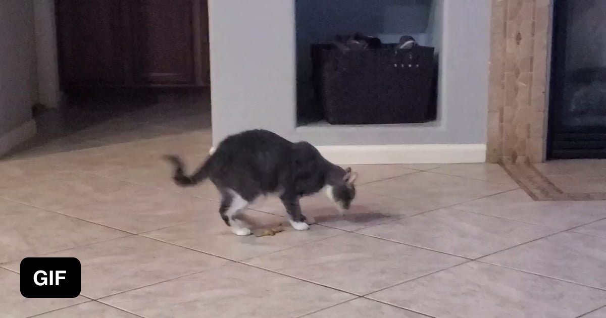 Rumpus time is over! - 9GAG