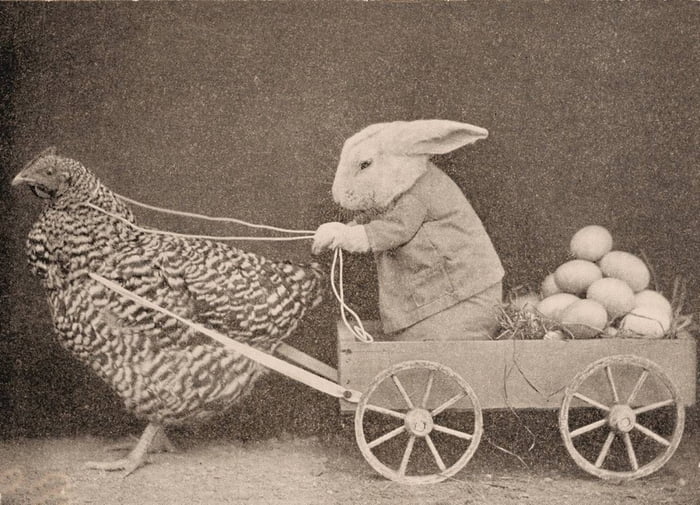 The Easter Bunny delivering eggs, with a little help from a hen, in the ...