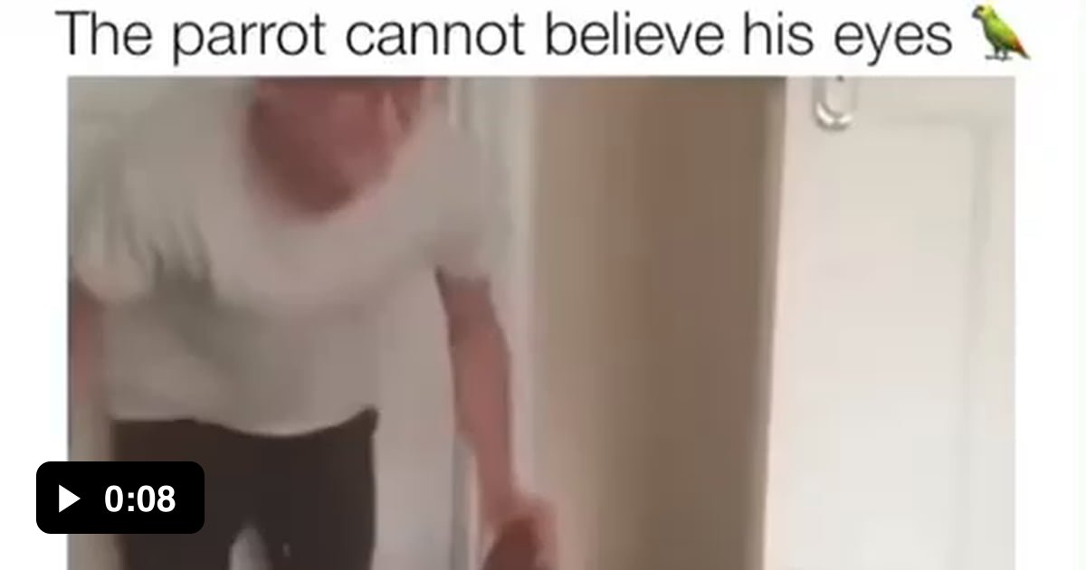 Perplex parrot. - 9GAG