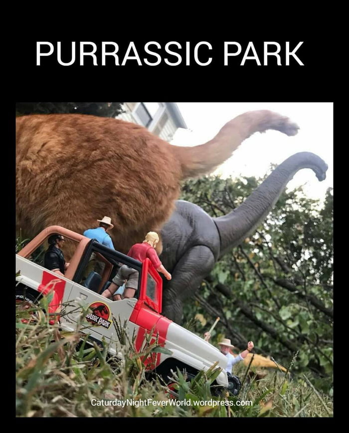 Jurassic meow - 9GAG