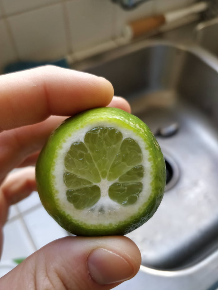 The inside of this lime looks like a tree - 9GAG
