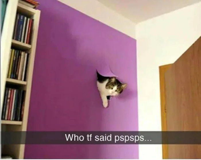Pspspsps - 9GAG