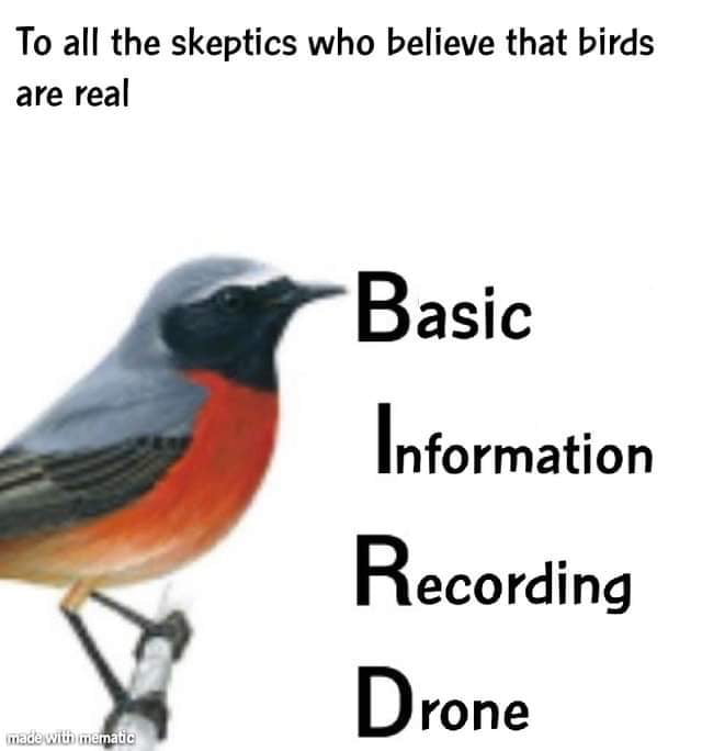 Give me some of your best "birds aren't real" memes - 9GAG