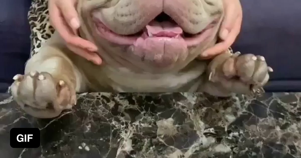 A happy chompkin - 9GAG