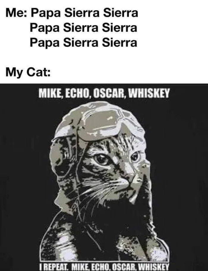 Cute little beast - 9GAG