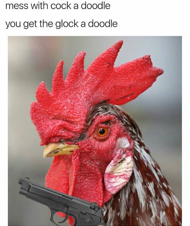 Mess with the chicken, you get beaten - 9GAG