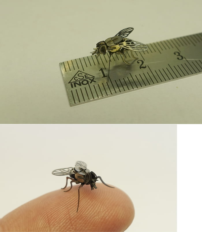 Close up picture of the metal fly I've made, what do you think? - 9GAG