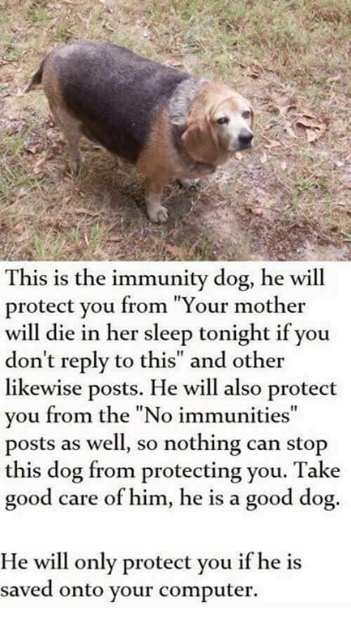 Immunity Dog - 9GAG