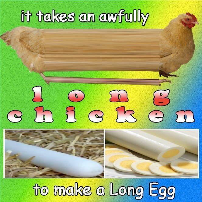 Mmm yummy long egg - 9GAG