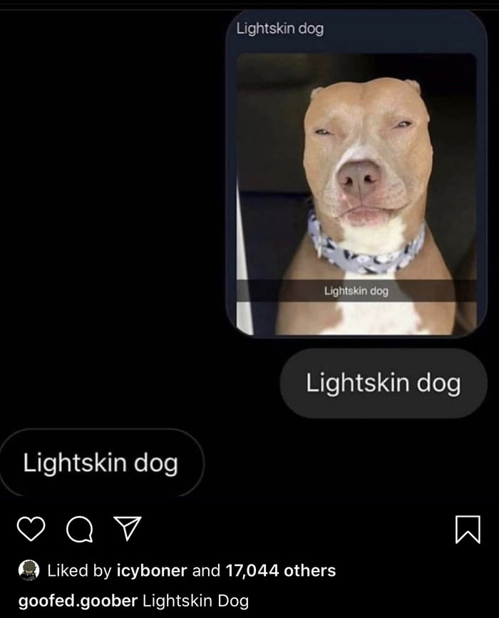 Lightskin dog - 9GAG