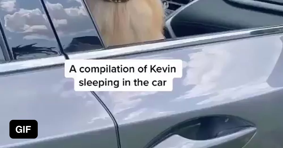Napping in the car - 9GAG