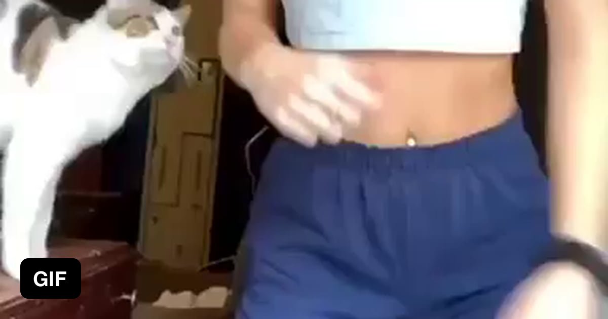 Cat does not approve the hoeing - 9GAG