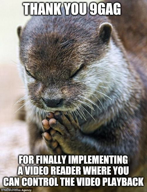 Lord Otter listened to our prayers - 9GAG