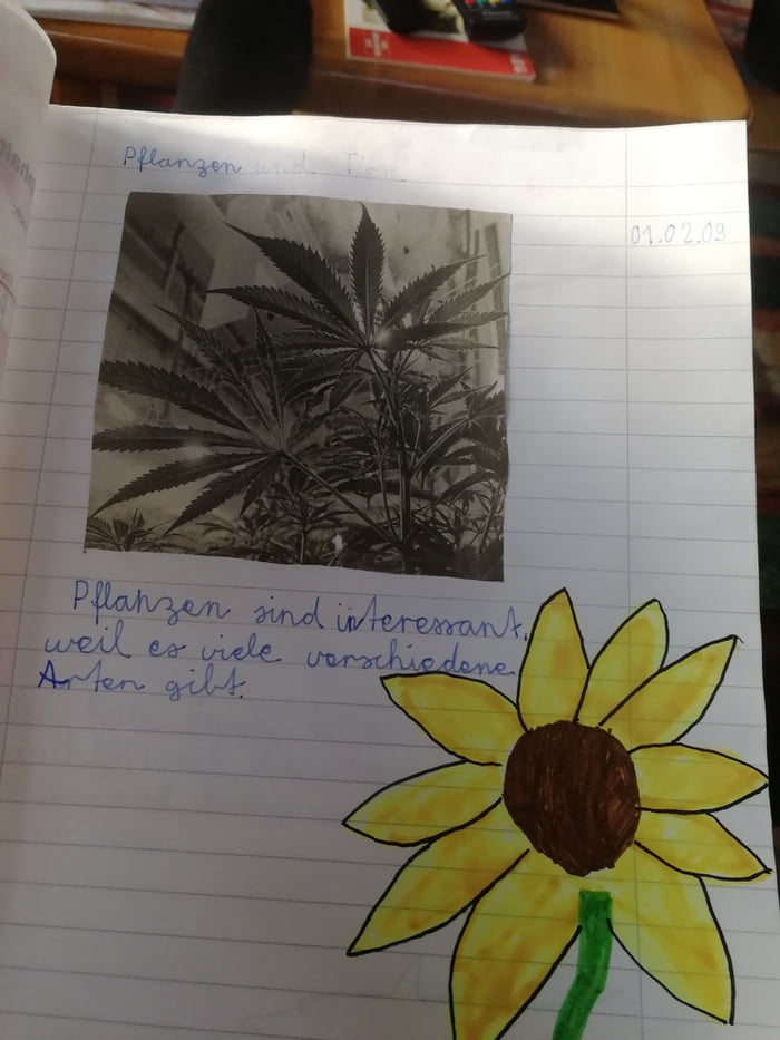 I wonder why nobody told me that it's a bad idea to use this photo in ...