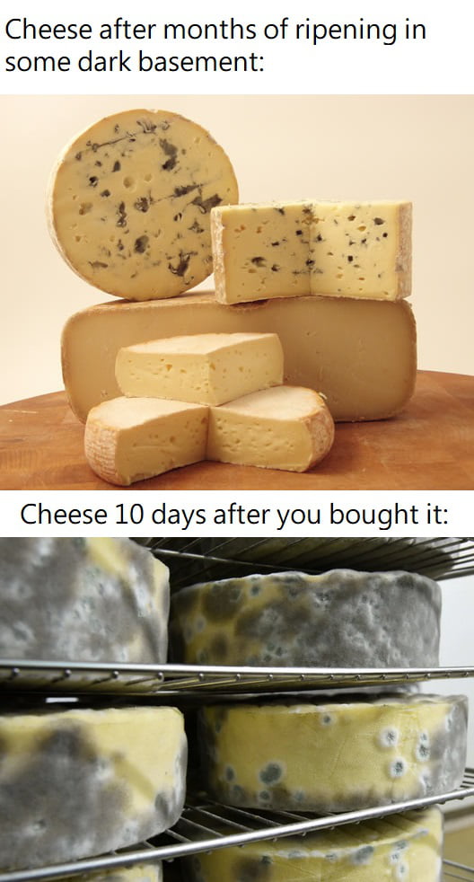 Sad cheese title - 9GAG