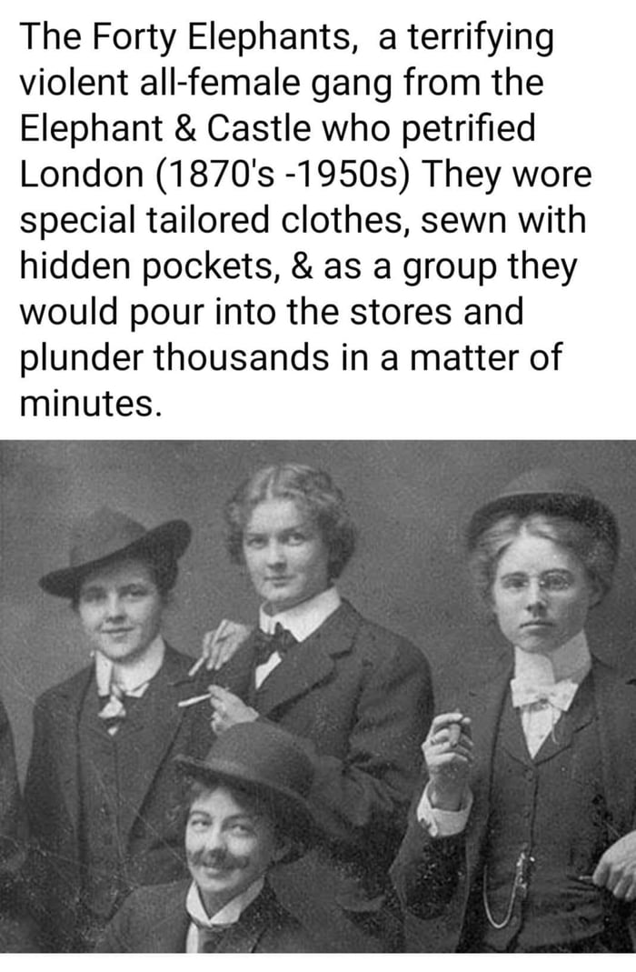 Forty Elephants - 9GAG