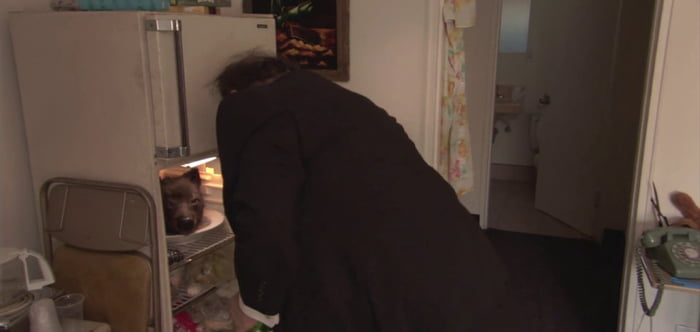 In borat (2006) the head of the bear can be seen in azamat's fridge ...