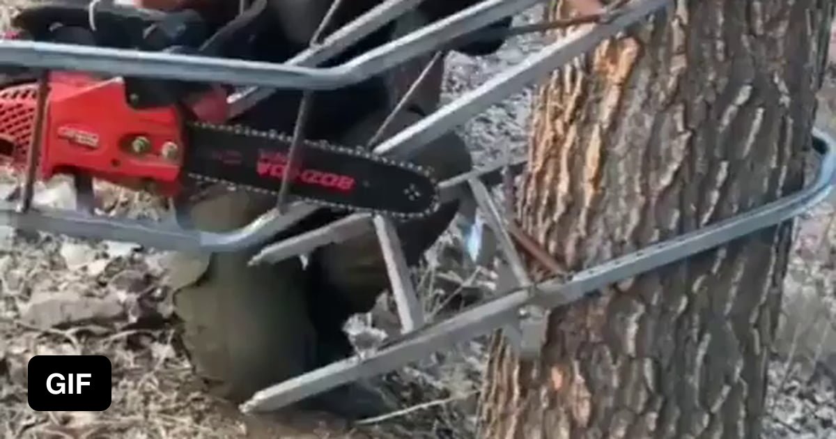 This tree climbing contraption - 9GAG
