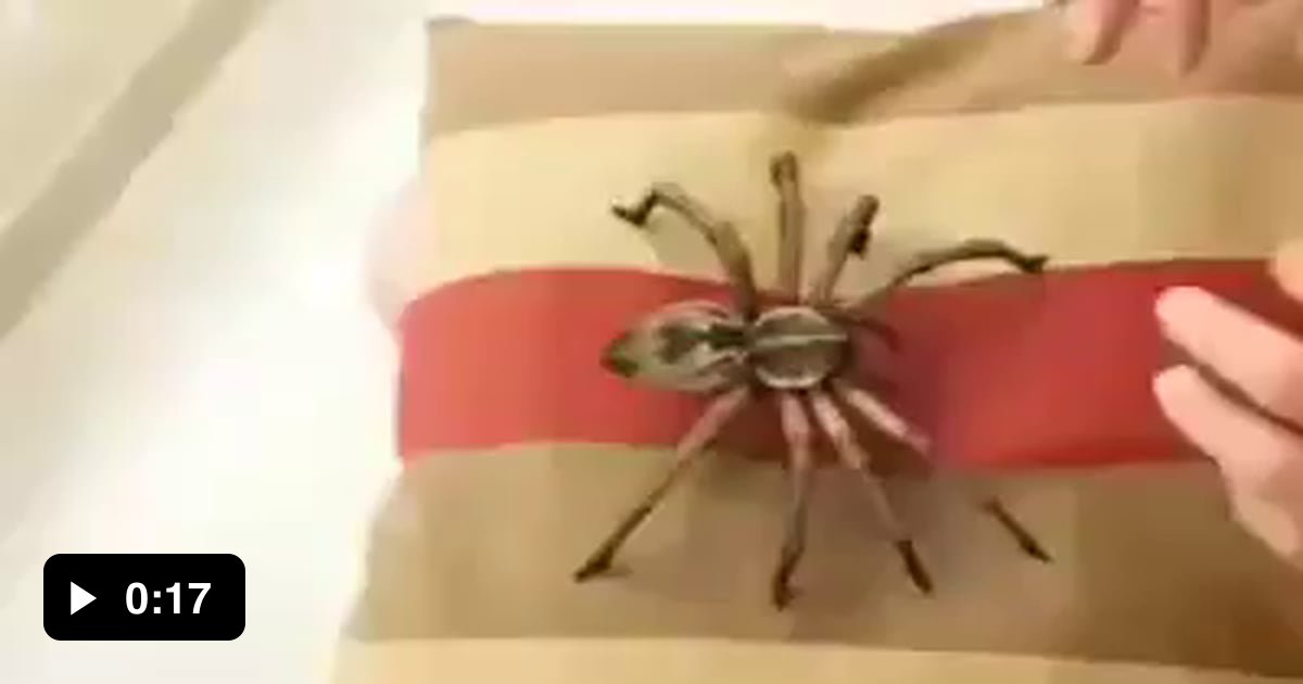 Sleep is overrated anyway - 9GAG