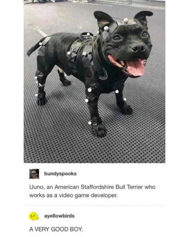 The best video game developer! - 9GAG