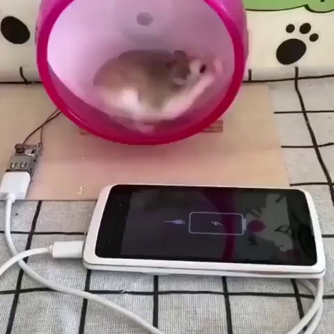 Hamster power - 9GAG