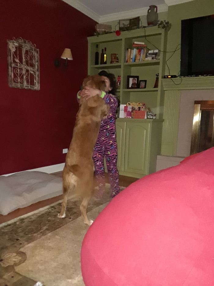 Dancing with dogs - 9GAG