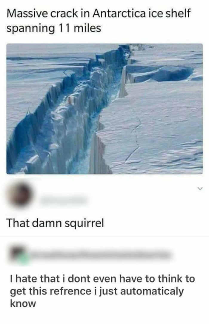 That damn squirrel - 9GAG