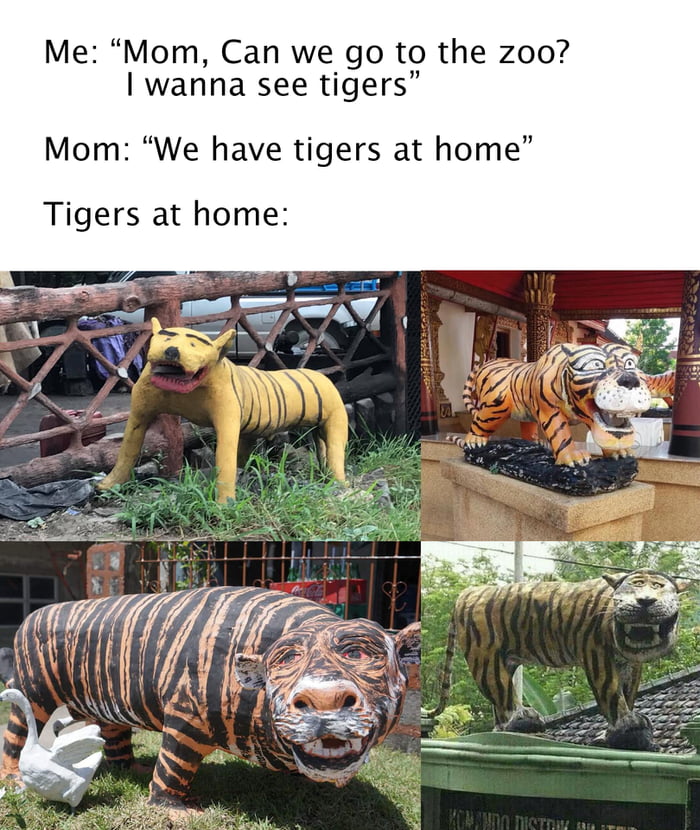Tigers at home - 9GAG