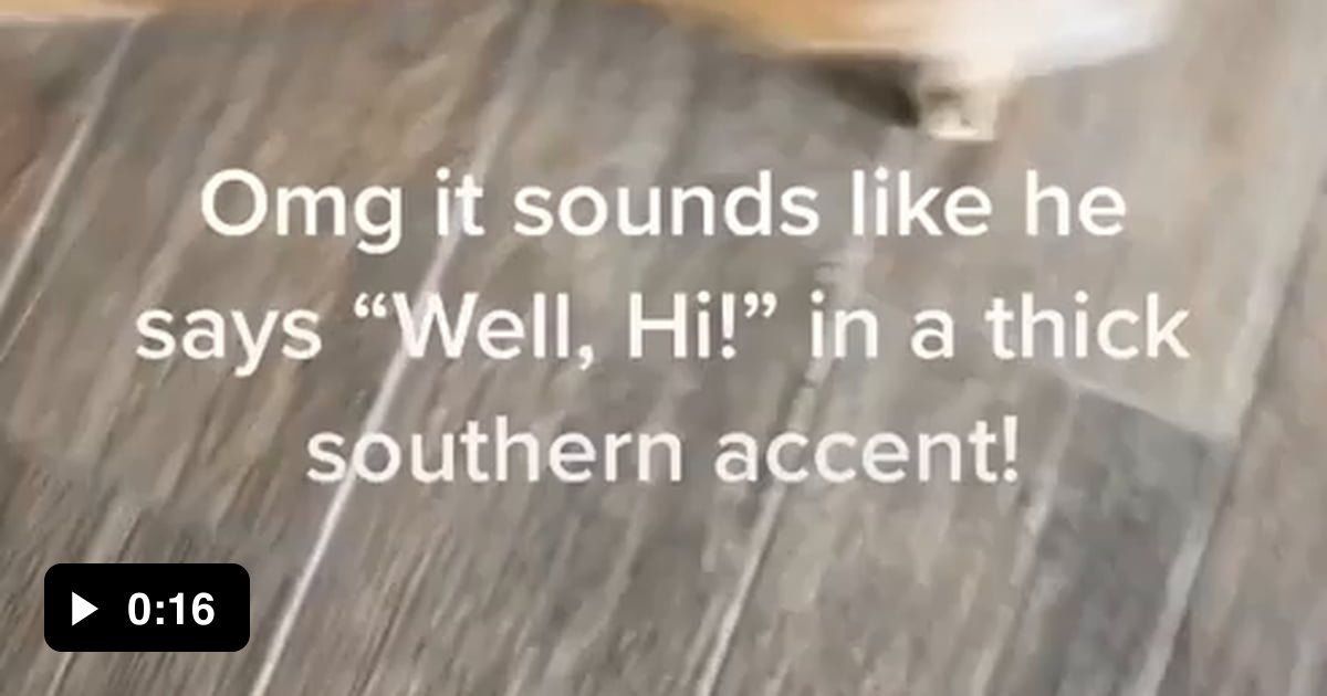 The best hello I’ve ever heard. - 9GAG