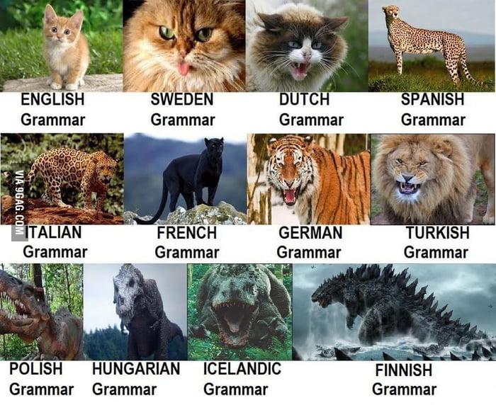 Finnish Grammar 9GAG Finnish Grammar 9GAG