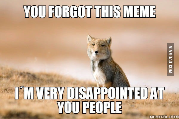 Disappointed Sand Fox - 9GAG