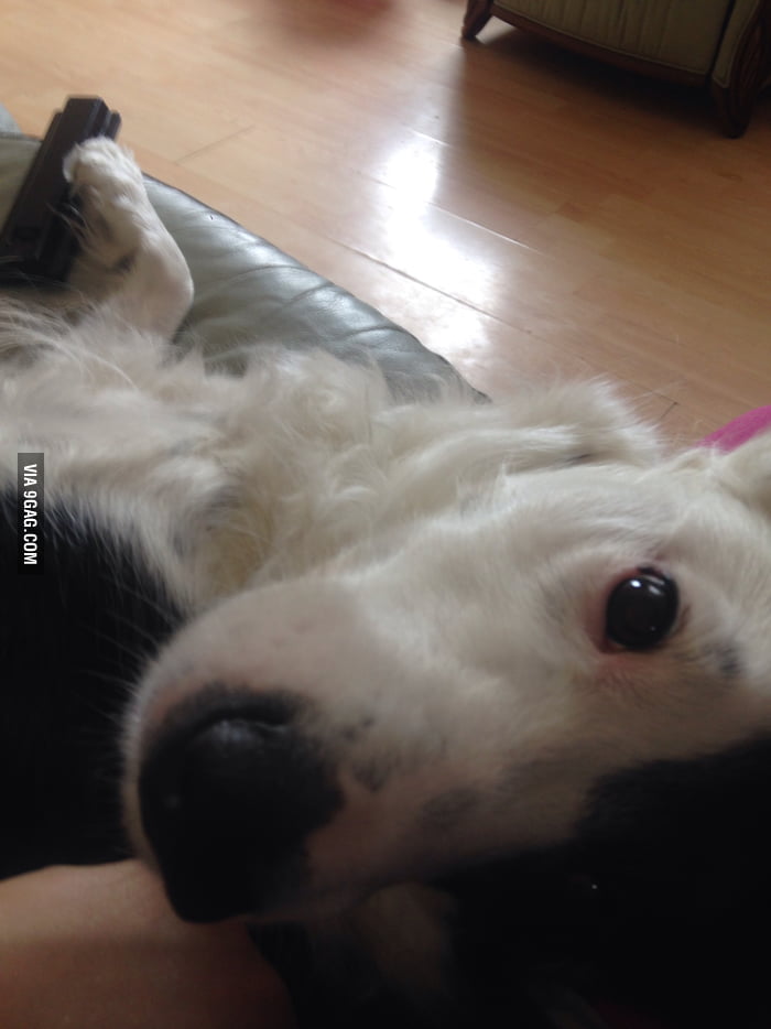 Think She Wants A Cuddle 9gag