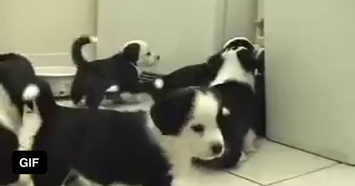 LET US LOVE YOU - 9GAG