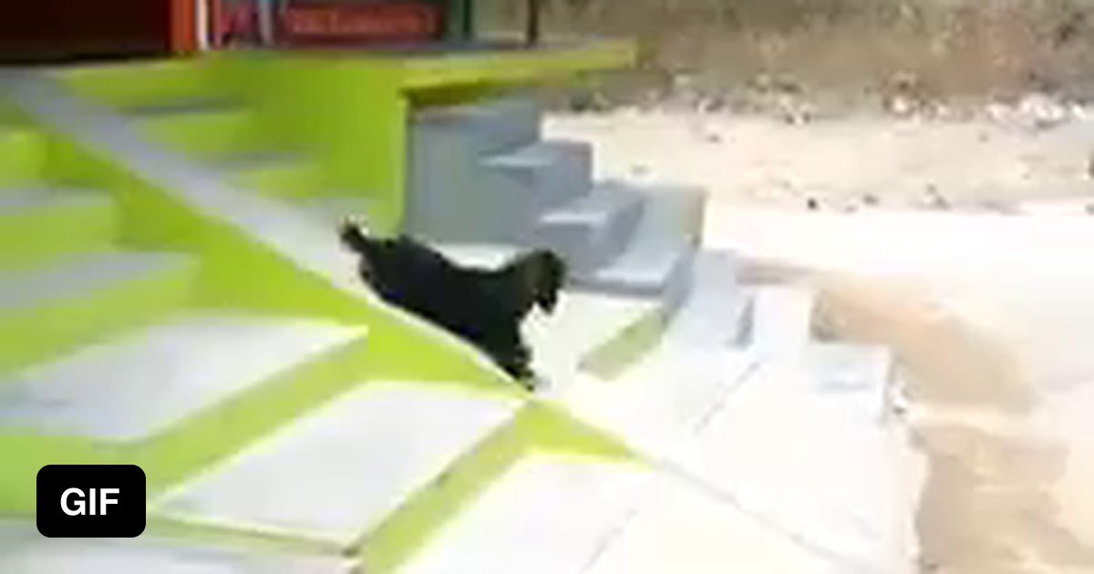 Sliding goat - 9GAG