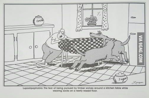 Luposlipaphobia it is the fear of wolves chasing you around a kitchen ...