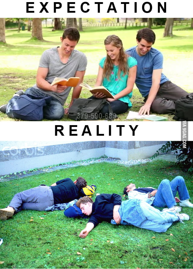 Hey, lets study outside in the sun! - 9GAG