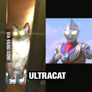 Ultracat. - 9GAG