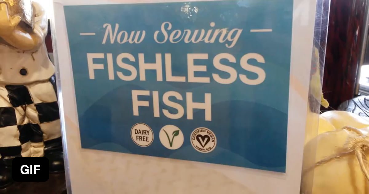 Fishless Fish - 9GAG